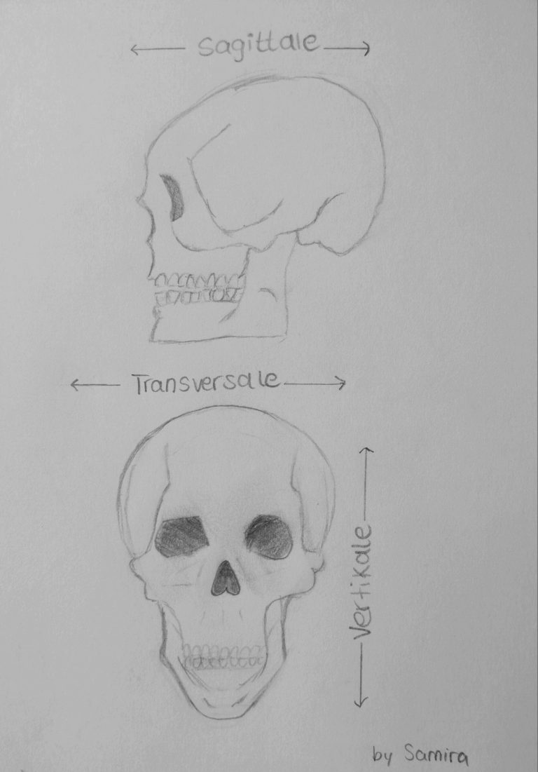 Dysgnathie/Kieferfehlstellung: Erklärung einer Betroffenen